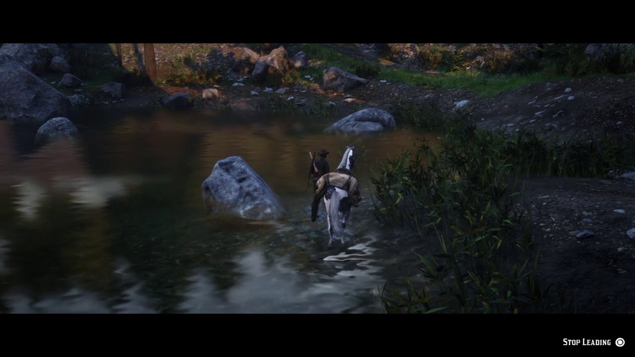 Red Dead Redemption 2 Online _ Silver Dapple Pinto Horse _ Missouri Fox ...