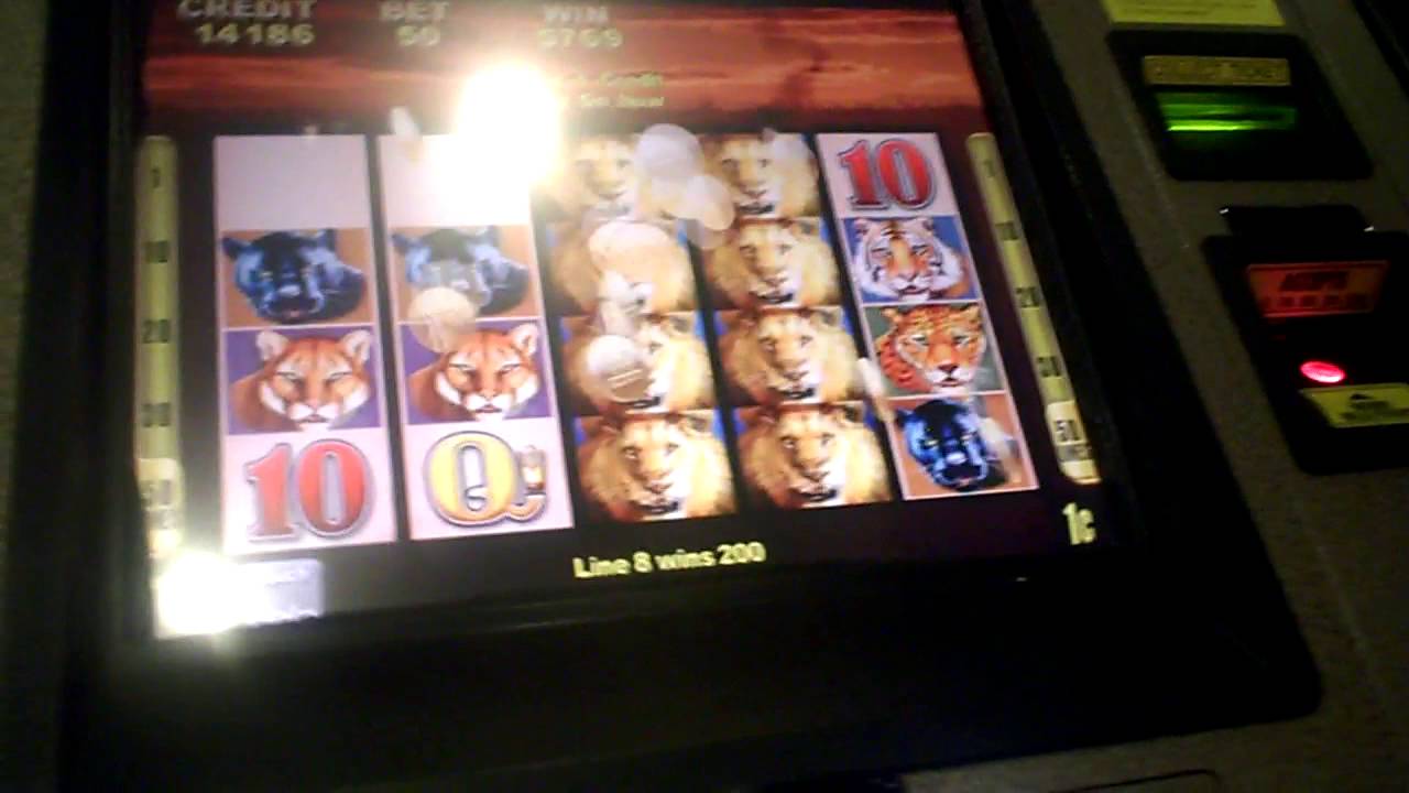 Wild Cats Slot Machine Line Hit - YouTube