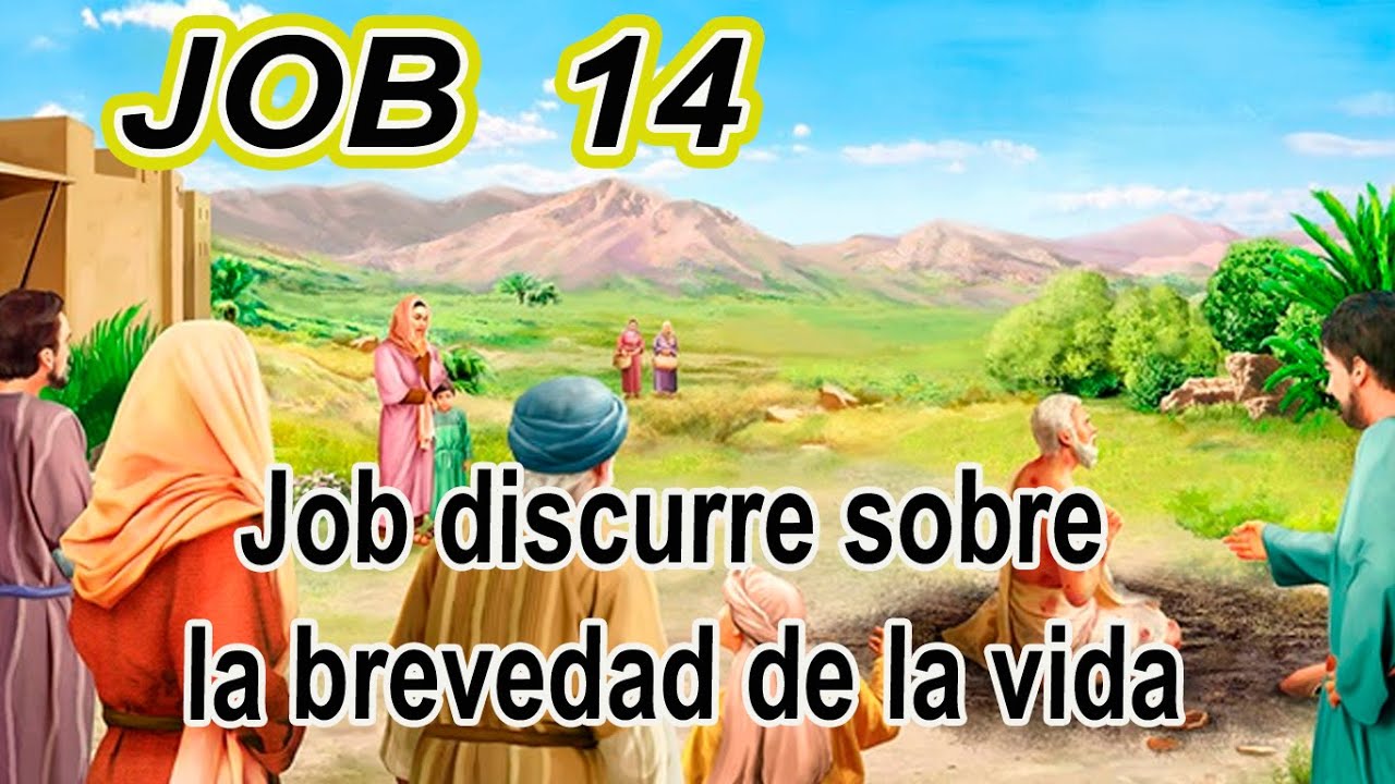 JOB Capitulo 14 , JOB DISCURRE SOBRE LA BREVEDAD DE LA VIDA - YouTube