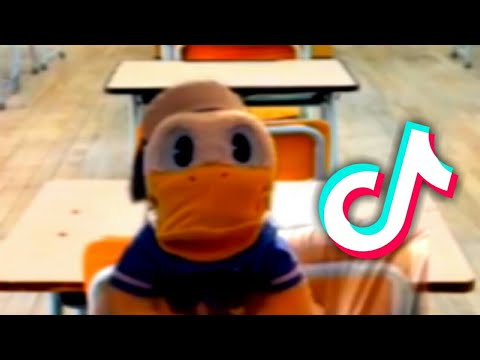 Donald Ducc tiktok compilation | Best Donald Ducc tiktok | Donald Duck ...