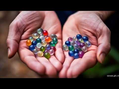 The Magical GMO: A Tale of Sustainability and Responsibility