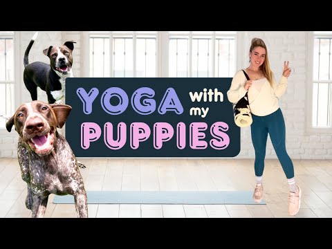 10-Min Yoga Stretch (With My Doggos 🐾)