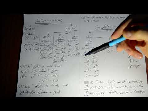 35 BAB NEDİR? FİİLLERİN BABLARA GÖRE KISIMLARA AYRILMASI