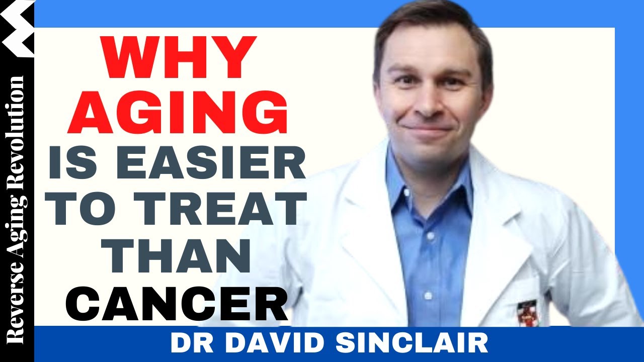 DAVID SINCLAIR “Why Aging Is Easier To Treat Than Cancer?” | Dr David ...