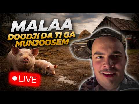 VECE SA CUKAROM,TRAZIMO DOMACICE !!!!