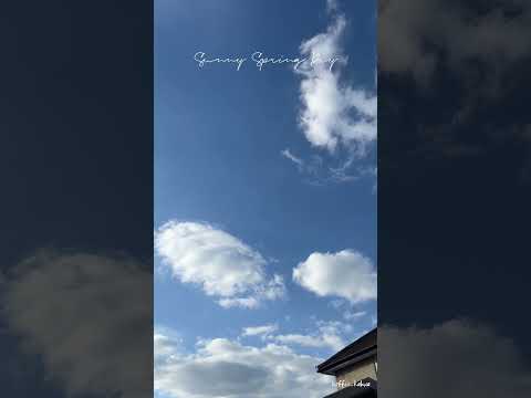 Sunny Spring Day | Spring | Clear Blue Sky | #trending | #shorts | #viral |