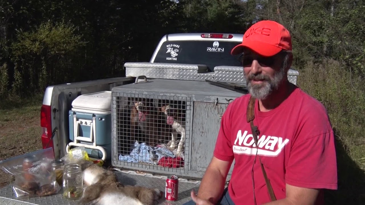 50 year camp tradition - rabbit hunting and rabbit feed - YouTube