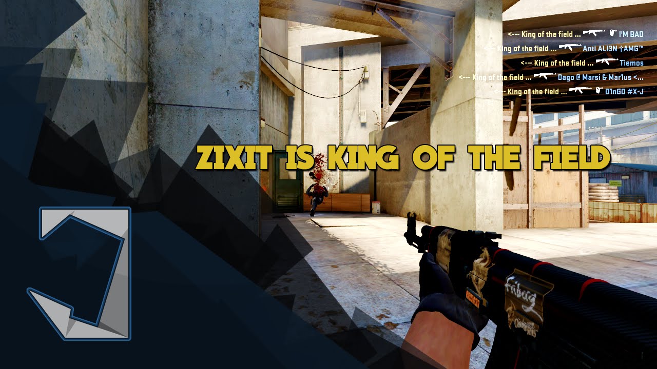 CS:GO - Zixit is king of the field! - YouTube