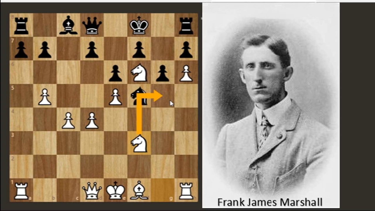Immortal Chess Game By Frank James Marshall : "The Peasants Revolt ...