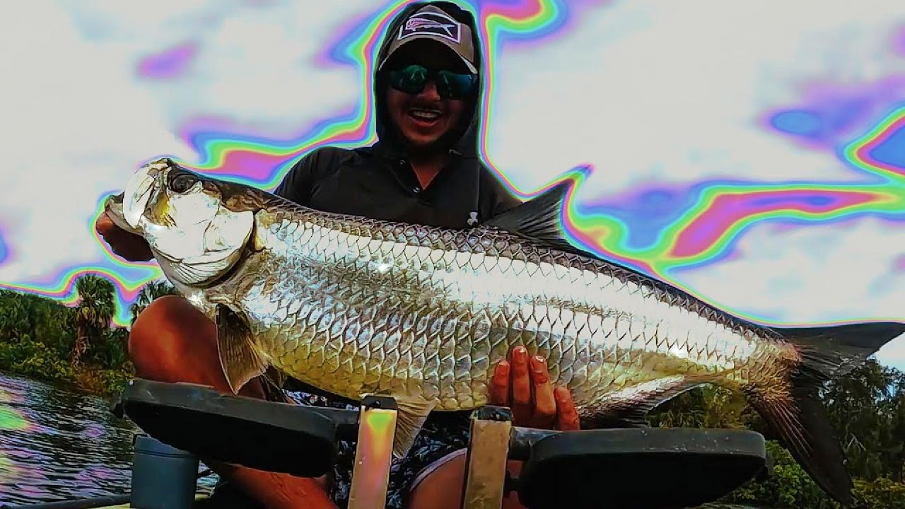 Fishing Post Hurricane Helene! Tarpon, Jack, Snook!!! - YouTube