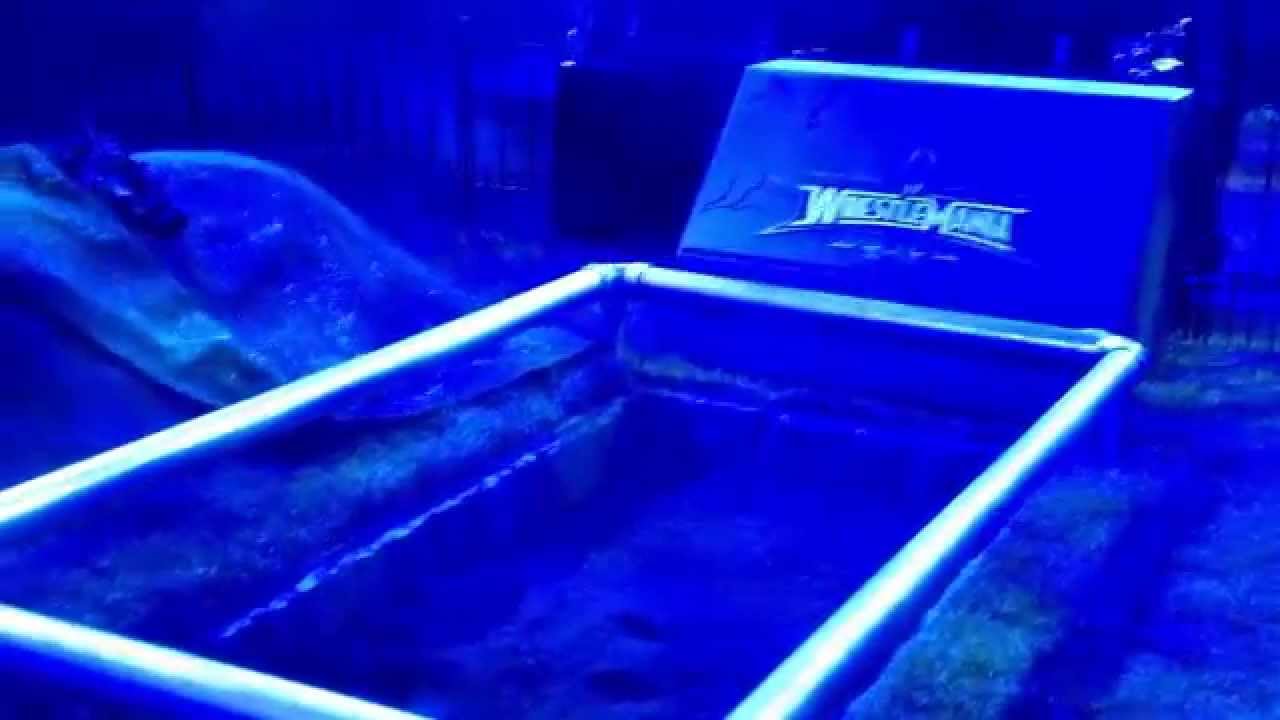 Undertaker's Graveyard at WrestleMania Axxess - YouTube