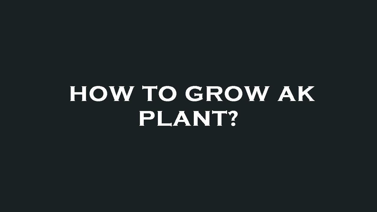 How to grow ak plant? - YouTube