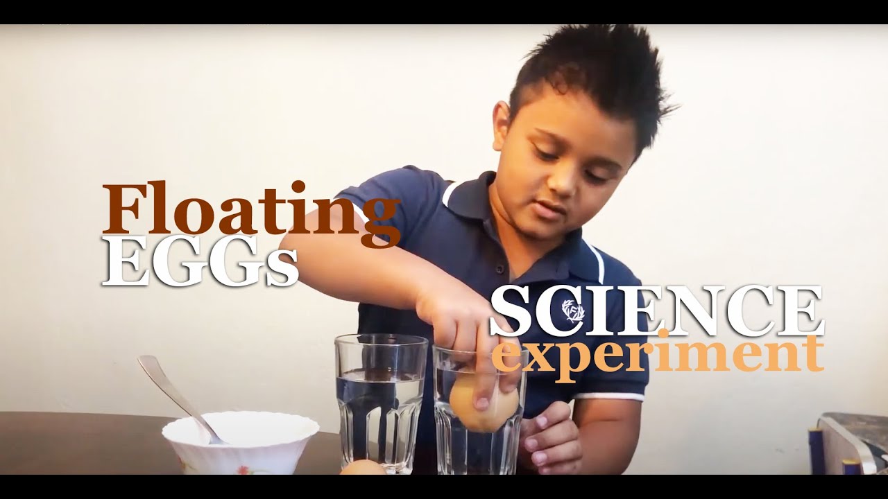 Floating Egg - Science Experiment For Kids (Egg floats in salt water ...