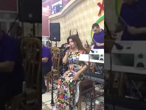 Bahar Lətifqızı Toyda CANLI İFA..