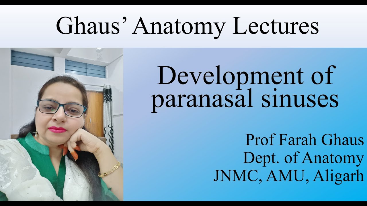 Development of paranasal sinuses - YouTube