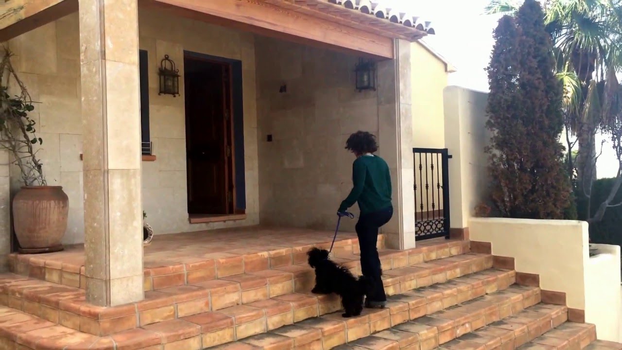 Pet friendly holiday homes in Moraira and Calpe by Jetvillas Spain ...