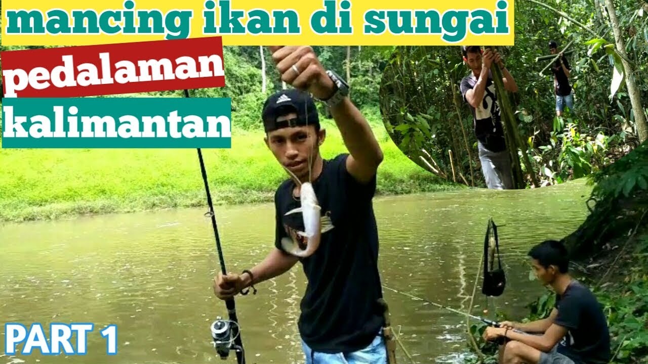Mancing di sungai terpencil kalimantan - adventure fishing - YouTube