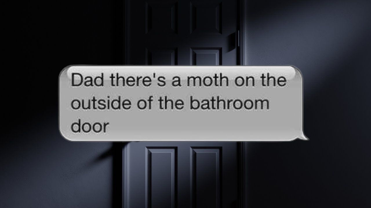There's a moth on the outside of the bathroom door - YouTube