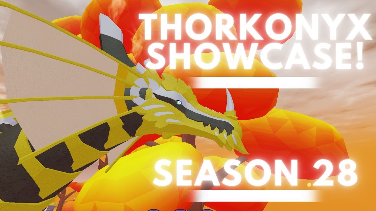 Season 28 Thorkonyx Showcase!! Dragon Adventures-(ROBLOX) - YouTube