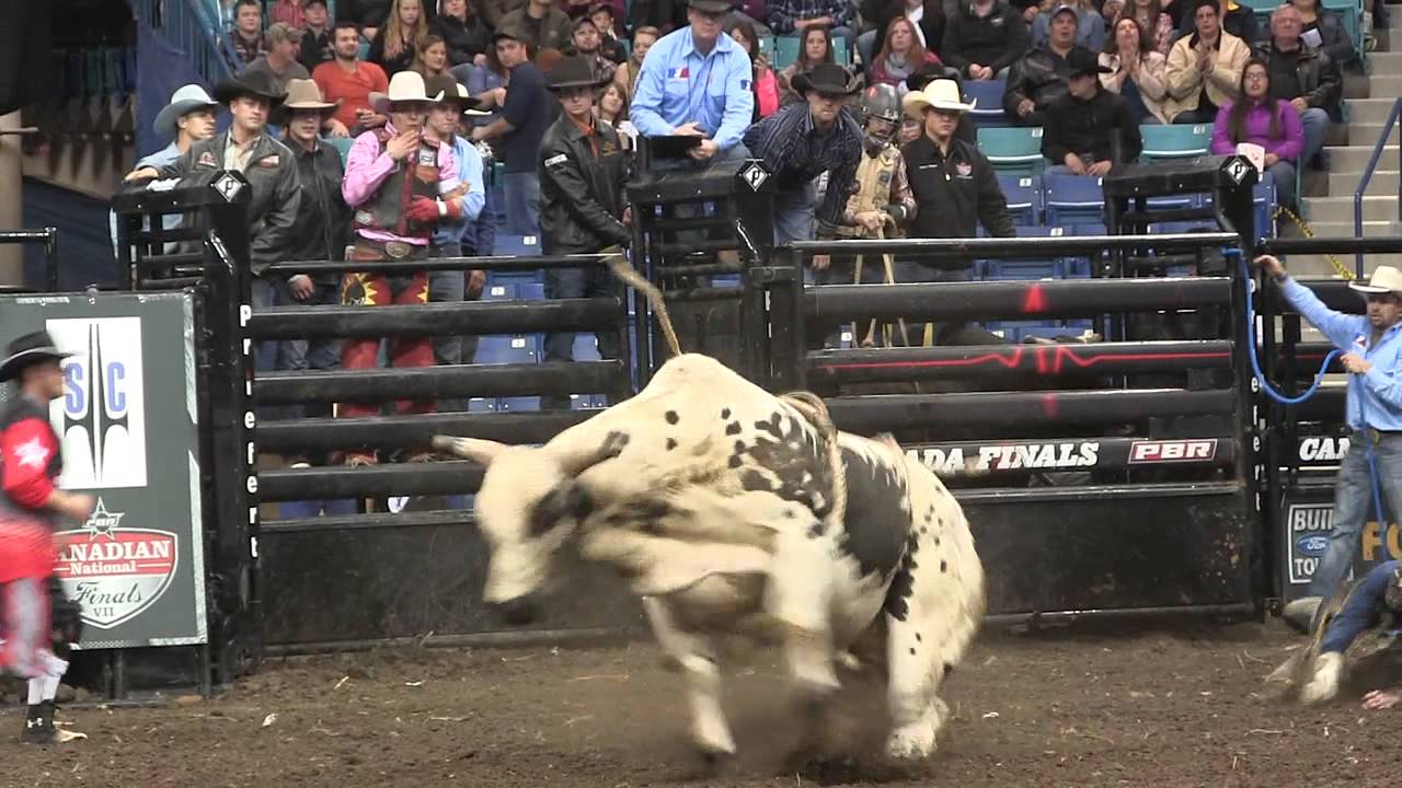 Harve Stewart vs. Franklin's 501 Cosa Nostra. PBR Canadian Finals 2013 ...