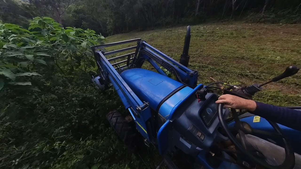 181- Slashing the 5th Pasture using a 360 Camera - YouTube