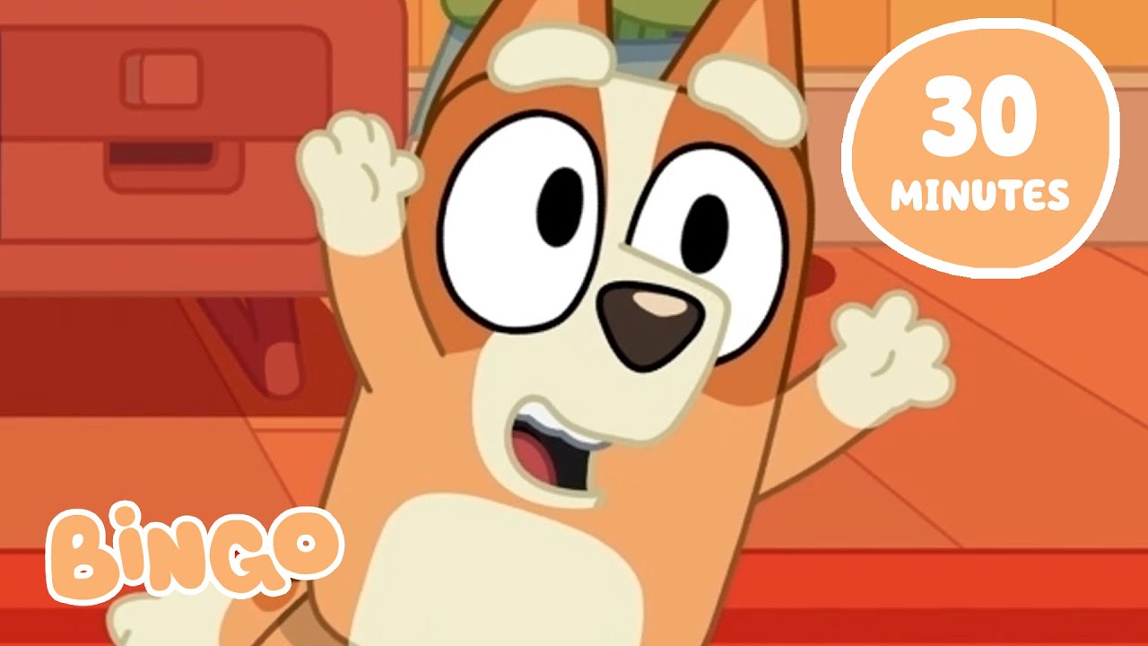 Party with Bingo! 🎊 🧡 | Celebrate with Bingo and Bluey 💙 | Bingo ...
