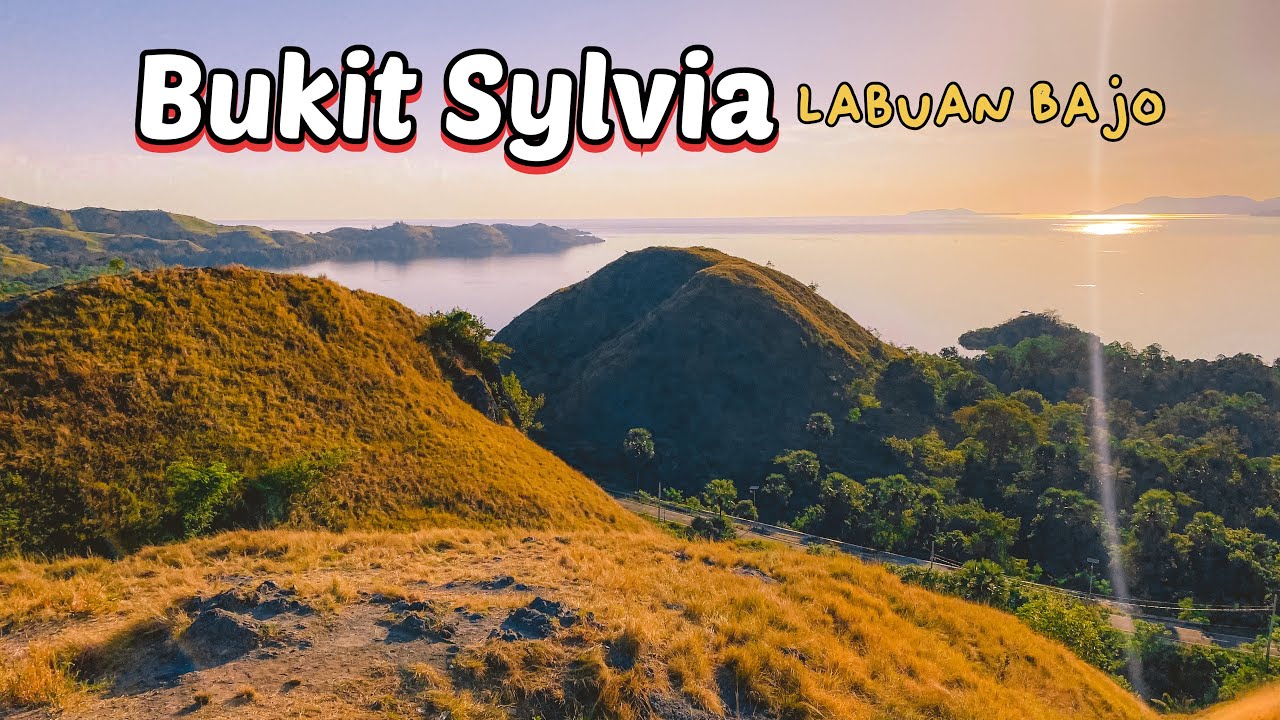Sunrise di Bukit Sylvia Labuan Bajo #labuanbajo - YouTube
