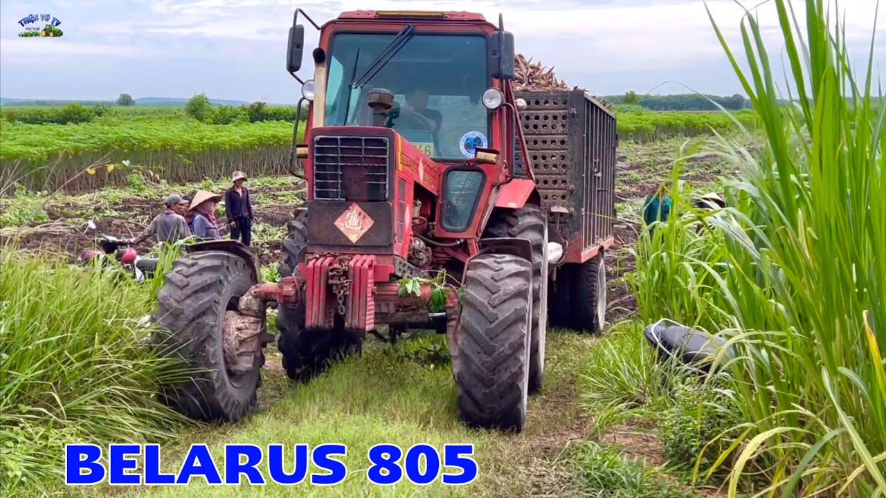 Máy cày belarus 805 turbo chở củ mì cùng ford 4610 ở tân biên 785 - YouTube
