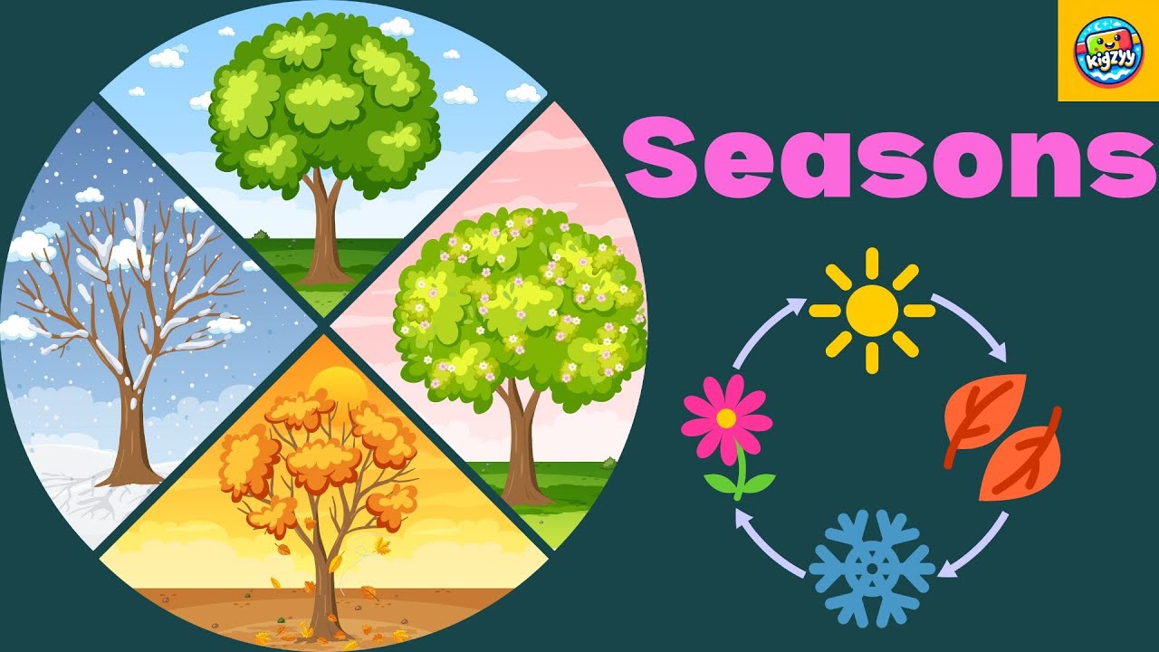 Four Seasons for kids||4 seasons in a year|| English Vocabulary| |In ...