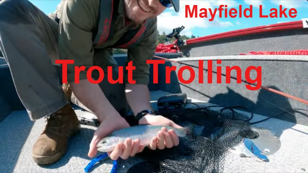 Mayfield Lake - Washington State Trout Fishing - YouTube