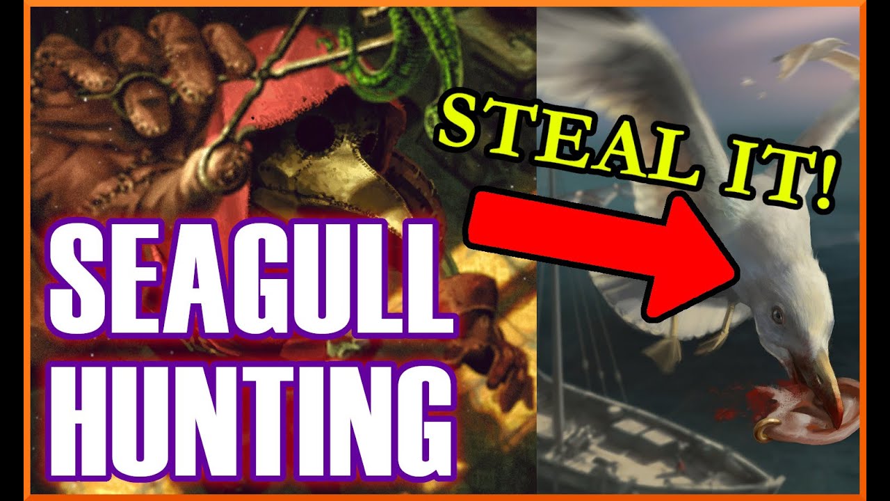 GWENT | ANTI-SEAGULL NILFGAARD? - YouTube