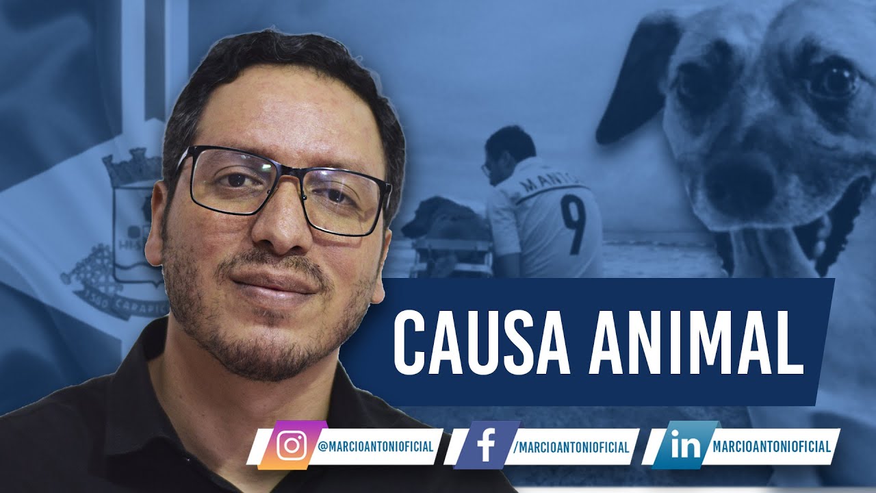 Live Causa Animal - YouTube