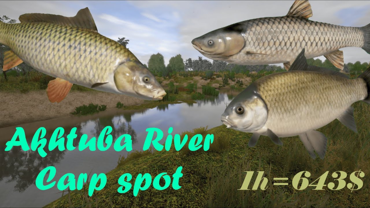 Akhtuba River carp spot rf4 | Rzeka Achtuba karp spot rf4 - YouTube