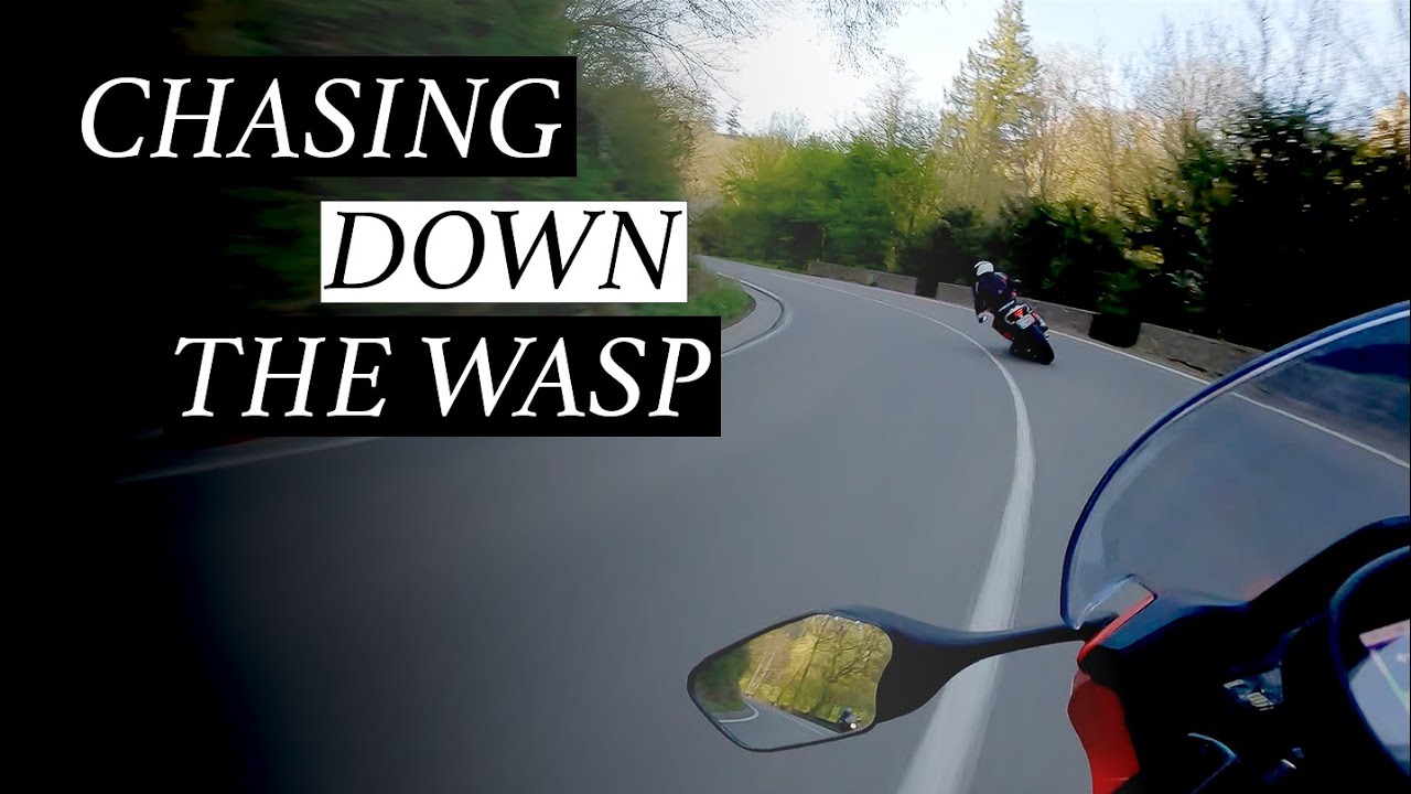 Chasing Down the Wasp - YouTube