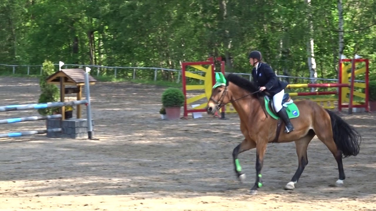 26 5 Domaz - YouTube