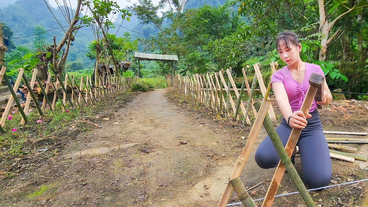 Make fence around house and cook simple meals on my farm - Chuc Thi Tam ...