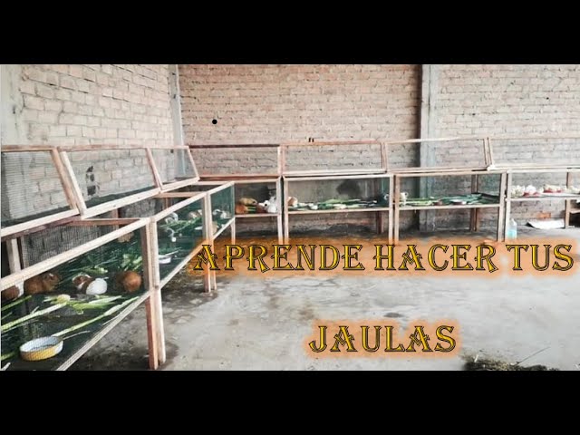 Como Hacer Jaulas Para Cuyes Ferplast Jaula Para Cobayas GUINNY | DRD