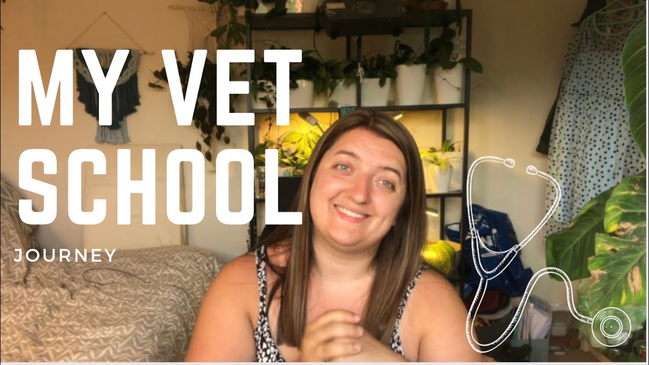 My Journey to Vet School | RVC student | Veterinary Medicine - YouTube