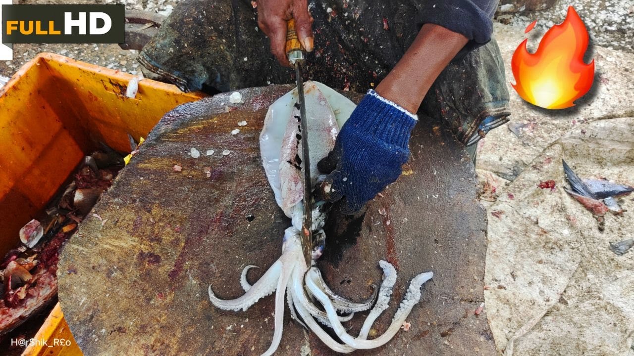 KASIMEDU 🔥SPEED SELVAM | RARE SQUID CUTTING🦑 | SQUID CUTTING SKILL ...