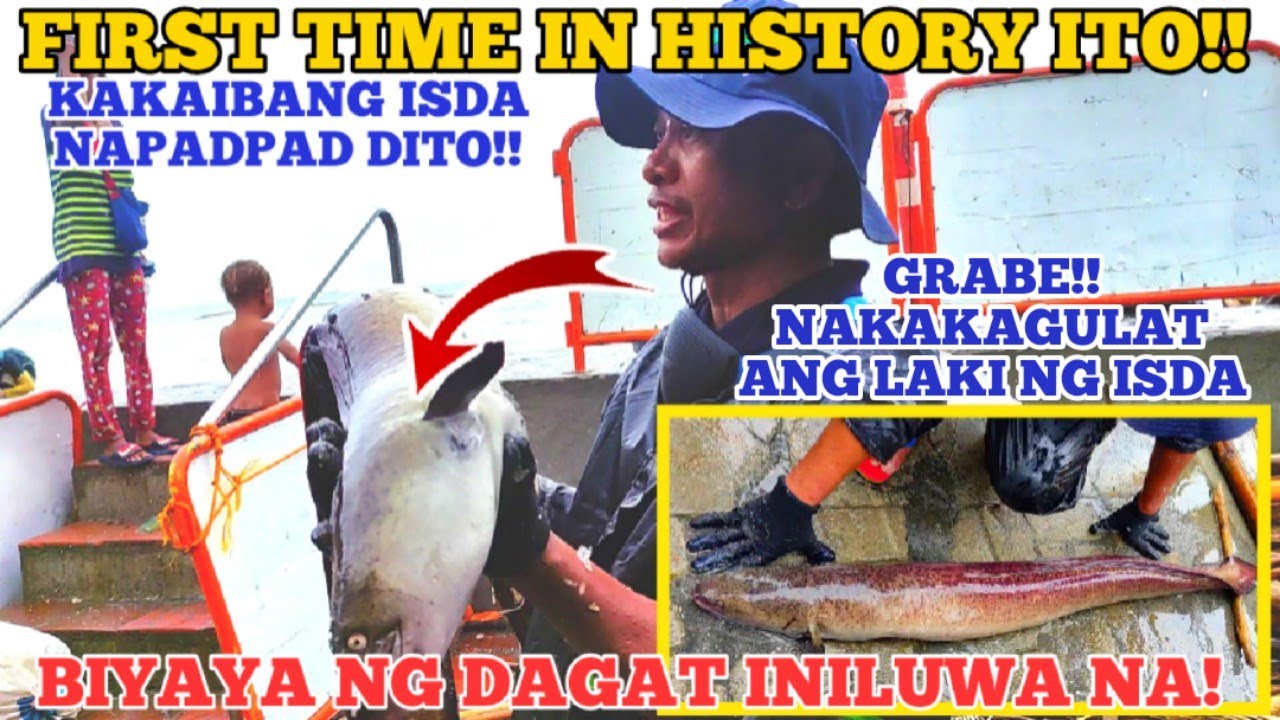 WOW! HALIMAW NA ISDA NATAGPUAN SA MANILA BAY MALAKING PALOS JULY 29 ...