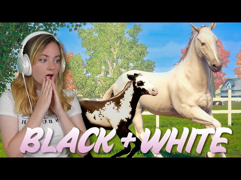BREEDING PURE WHITE AND PURE BLACK HORSES! - Rival Stars Horse Racing| Pinehaven