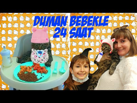 Kedicik duman bebek oldu biberonla süt içti markete gitti