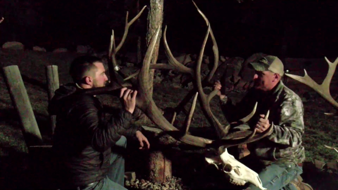 Big Game Hunting Tactics with Nate Zelinsky 12/5/17 - YouTube