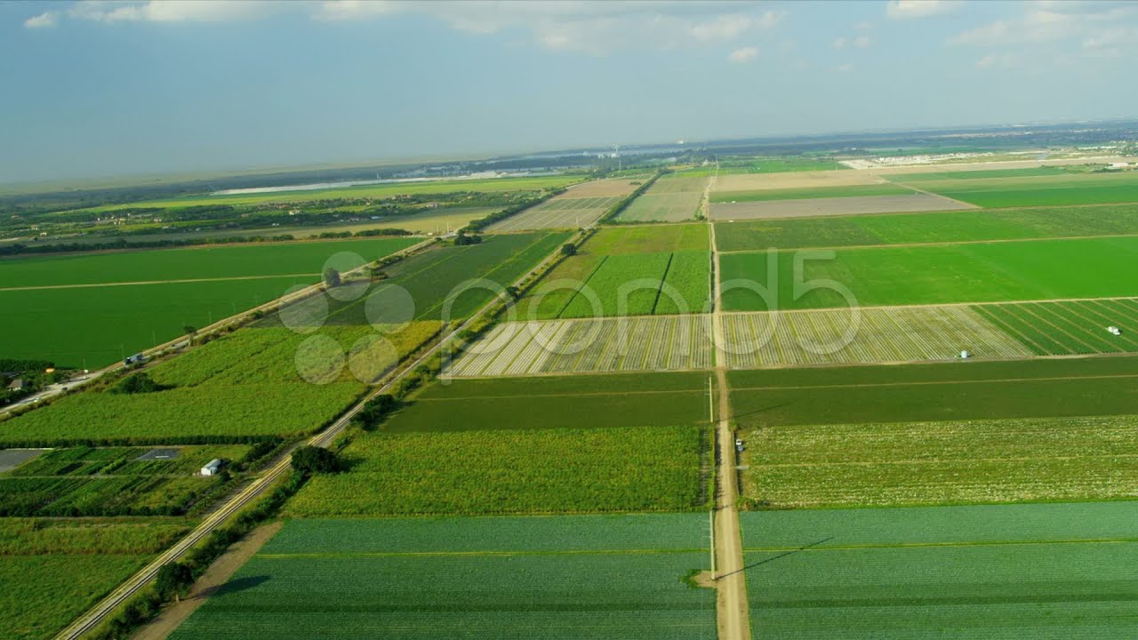 Aerial View Agricultural Farming Land Southern Florida. Stock Footage ...