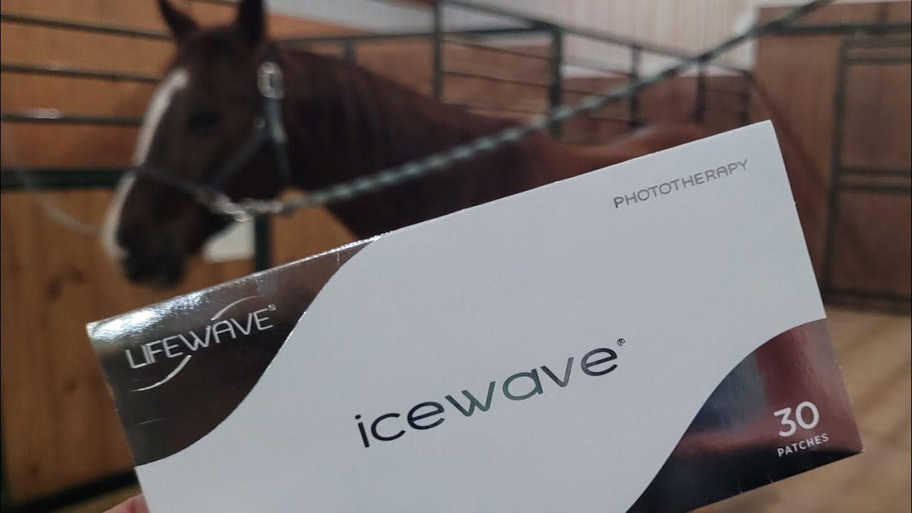 Working on a Horse with Lifewave Icewave Patches! - YouTube