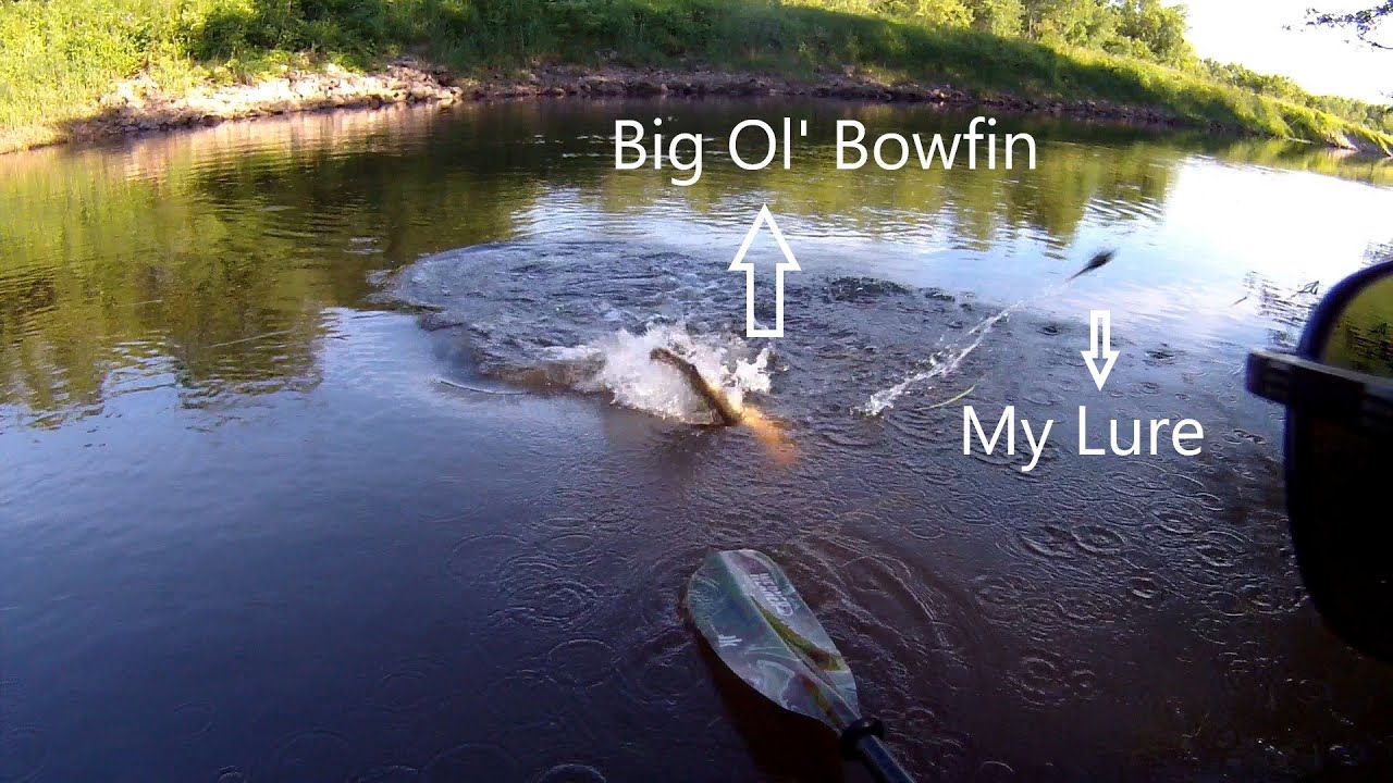 Kayak Fishing - Minnesota Mississippi River Spring 2019 Day 1 - YouTube