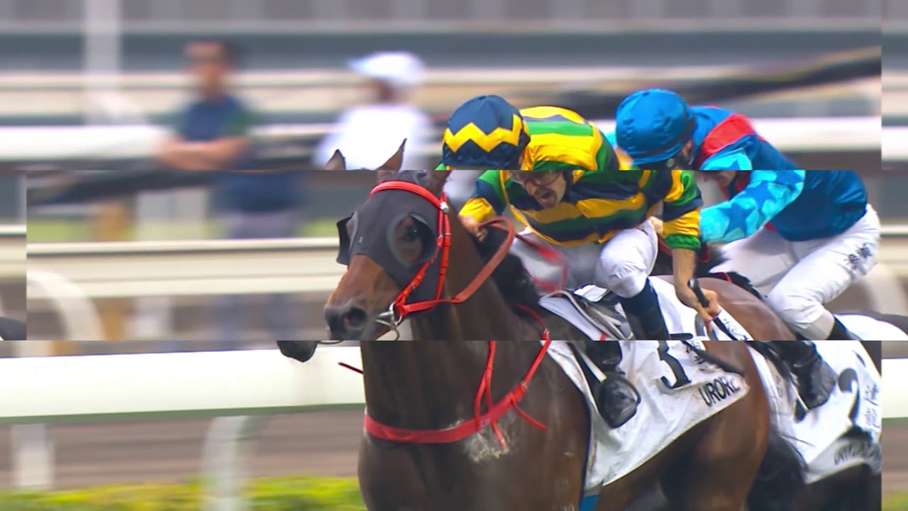 [FWD Champions Day 2020] FWD QEII Cup - Selected Runners (as at 20/4 ...