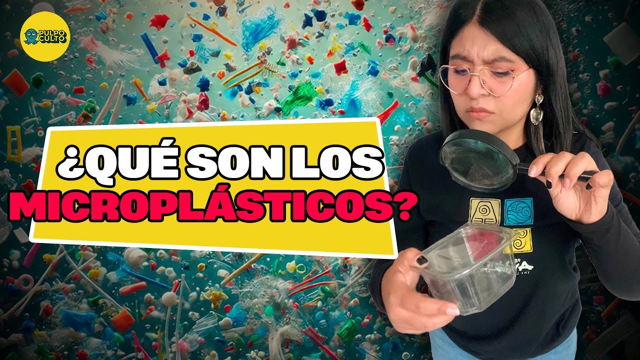¿Qué son los microplásticos y cómo es que llegan a nuestro cuerpo ...