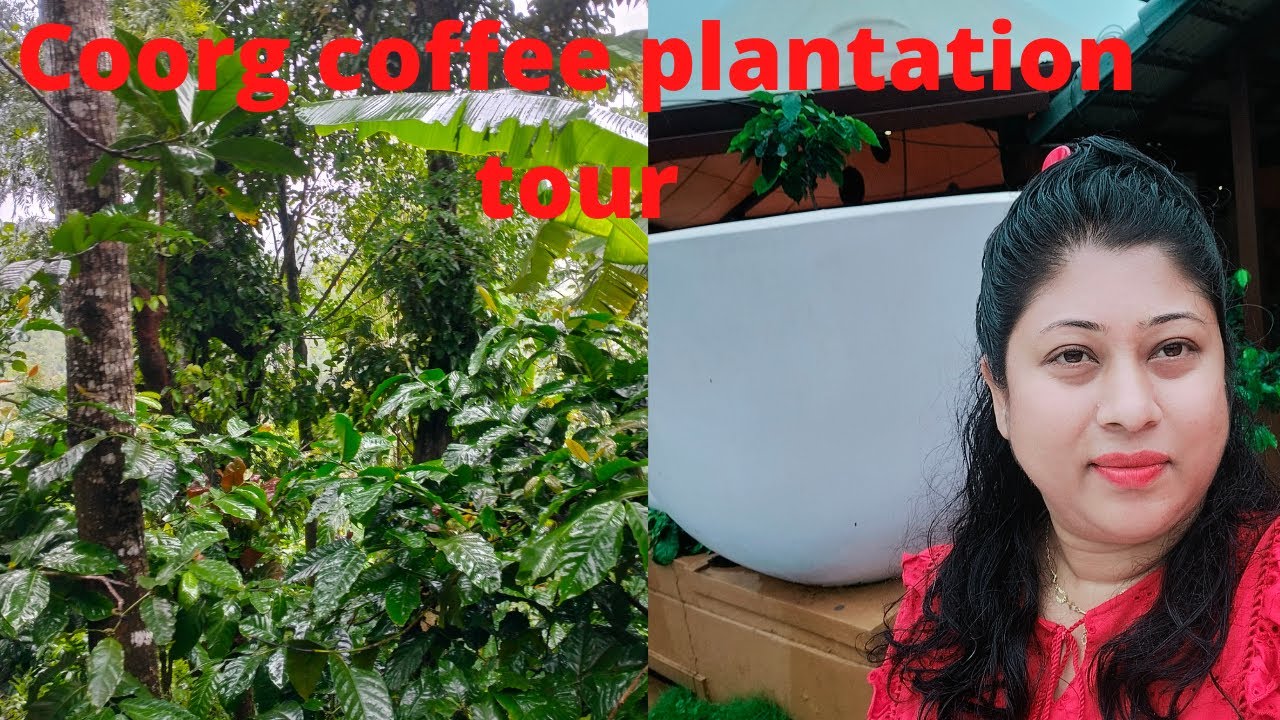 Coorg Coffee Plantation Tour | Coorg Shopping for Spices and Coffee ...