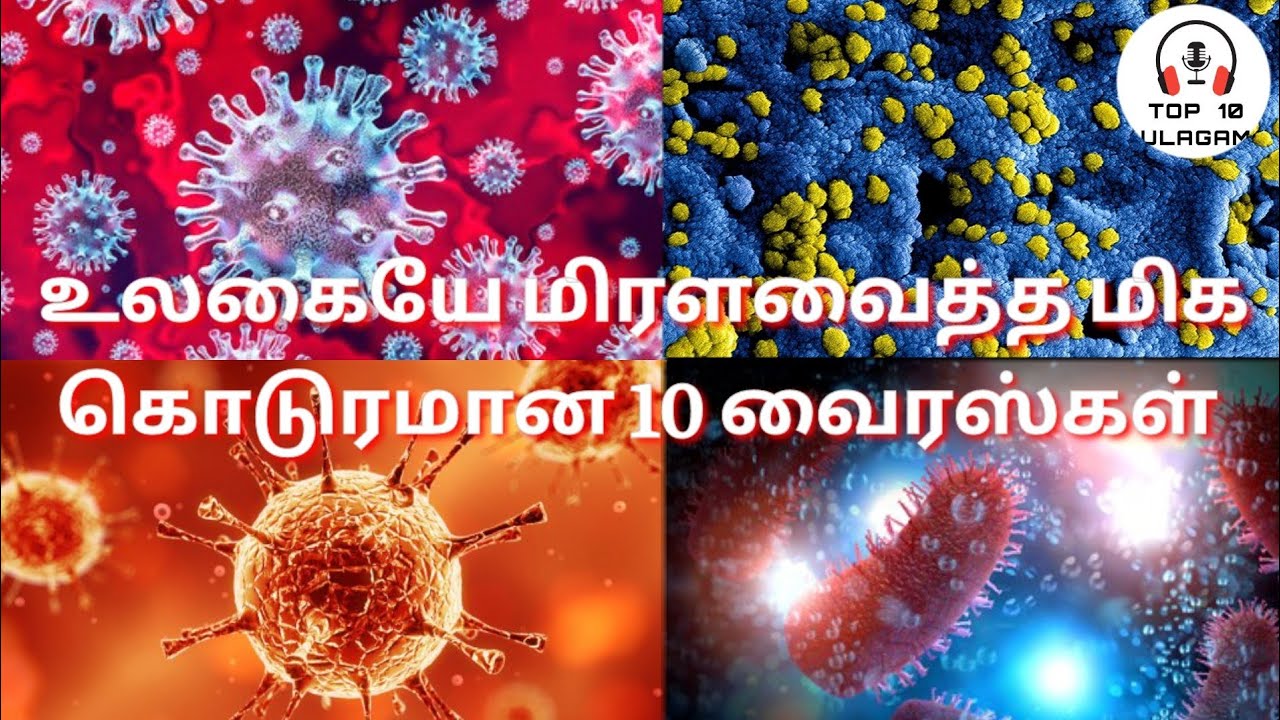 Top 10 most dangerous viruses in the world/covid 19/sars/mers/dengue ...